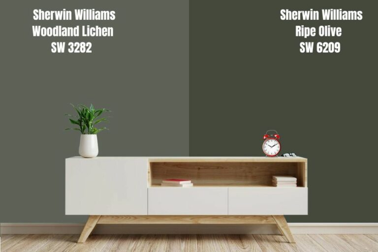 Sherwin Williams Woodland Lichen (Palette, Coordinating & Inspirations)