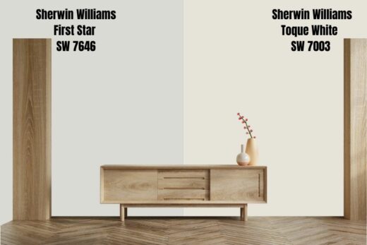 Sherwin Williams First Star ((Palette, Coordinating & Inspirations)