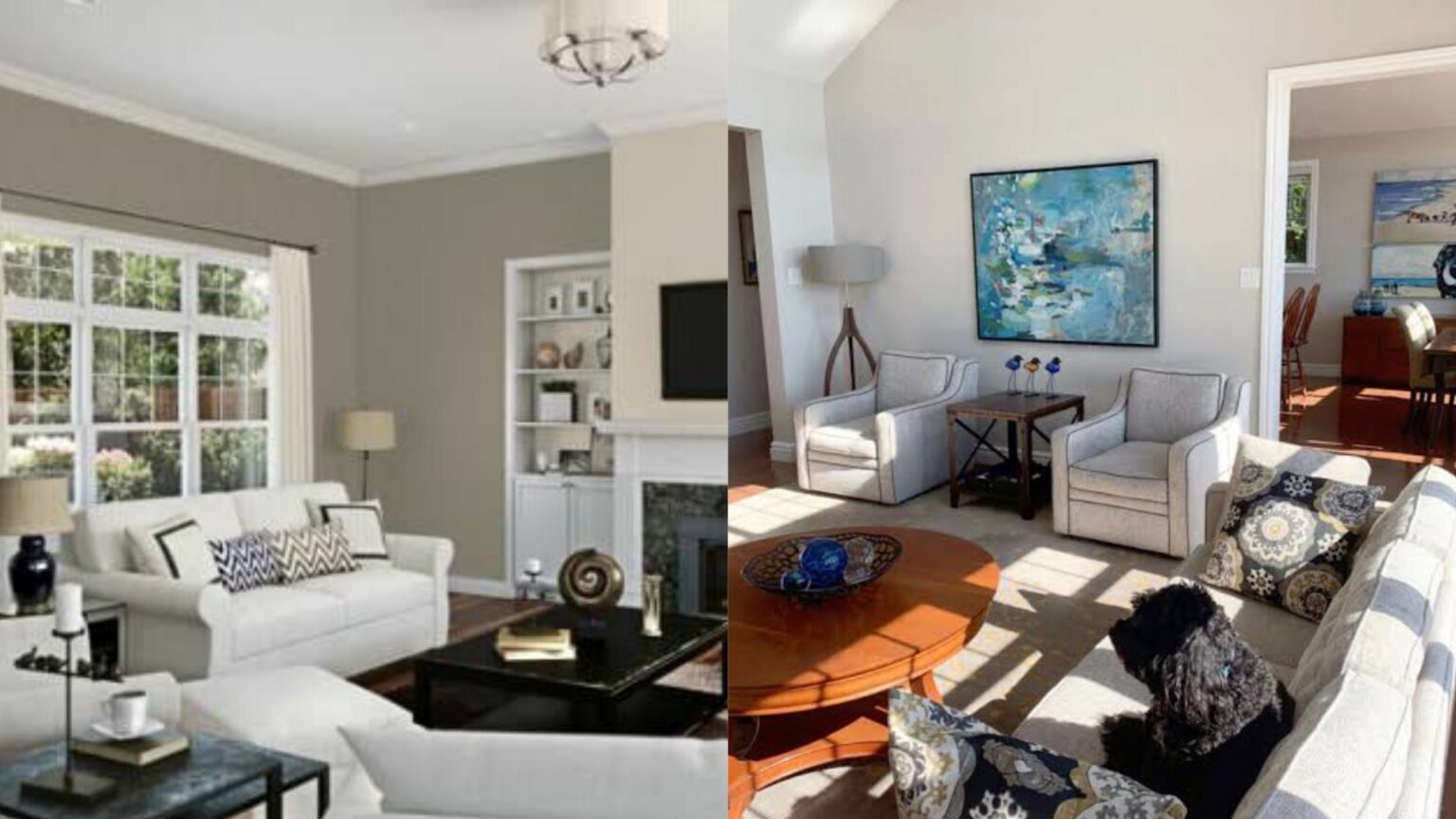 Accessible Beige Vs Agreeable Gray: Which is Good?