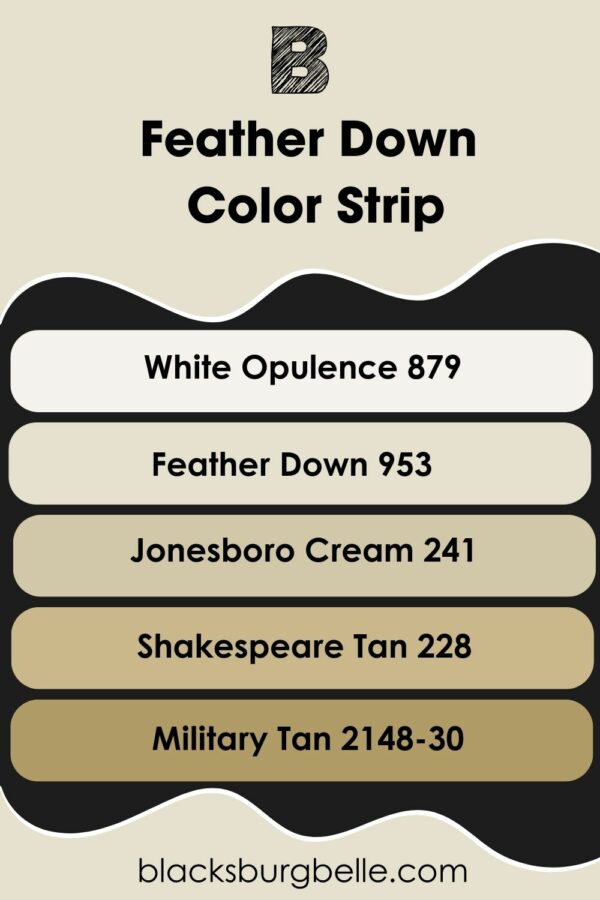 Benjamin Moore Feather Down OC-6: Review & Inspirations